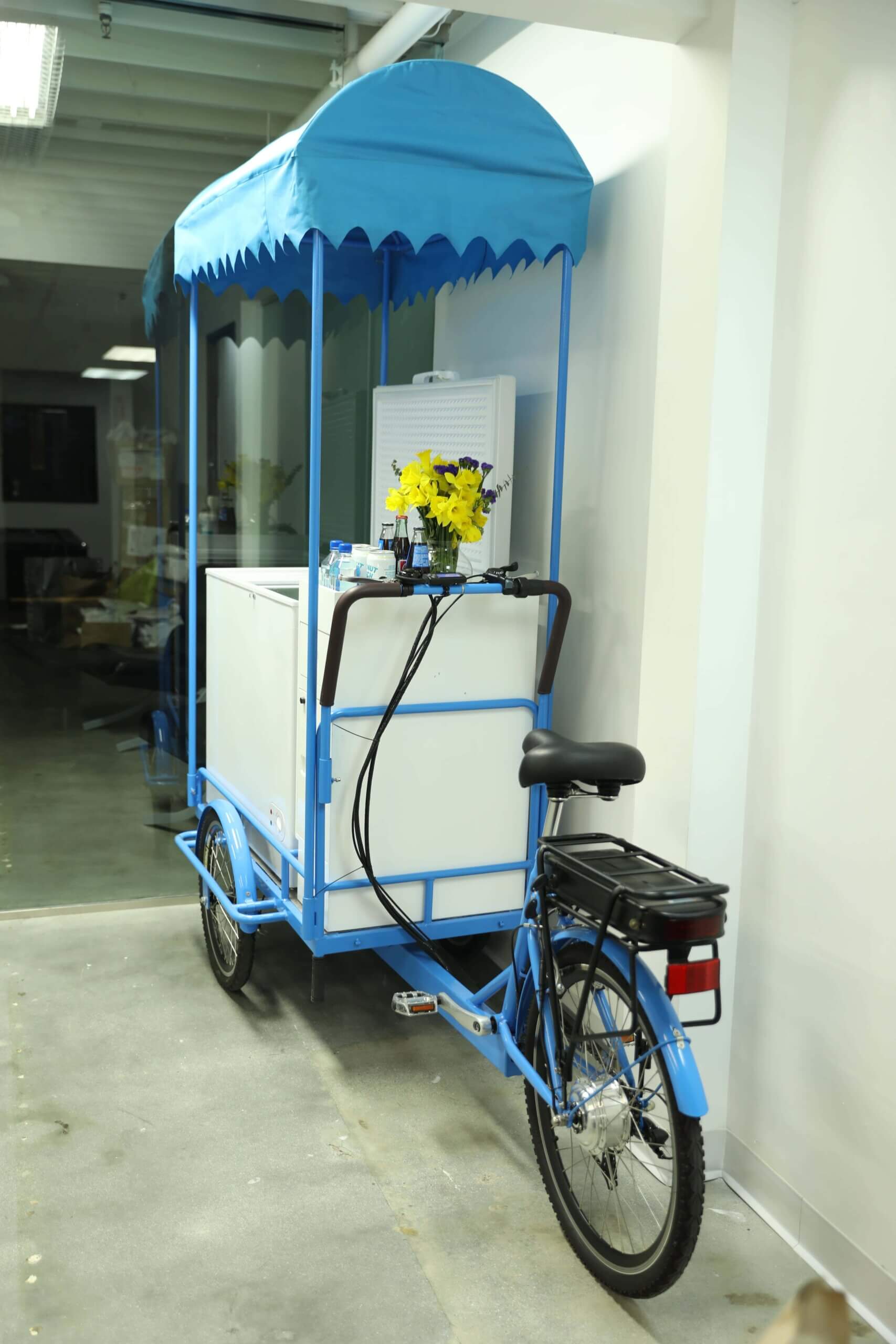 Ice Cream Bike (Blue) - Electric (Old Version) - Ferla Bikes